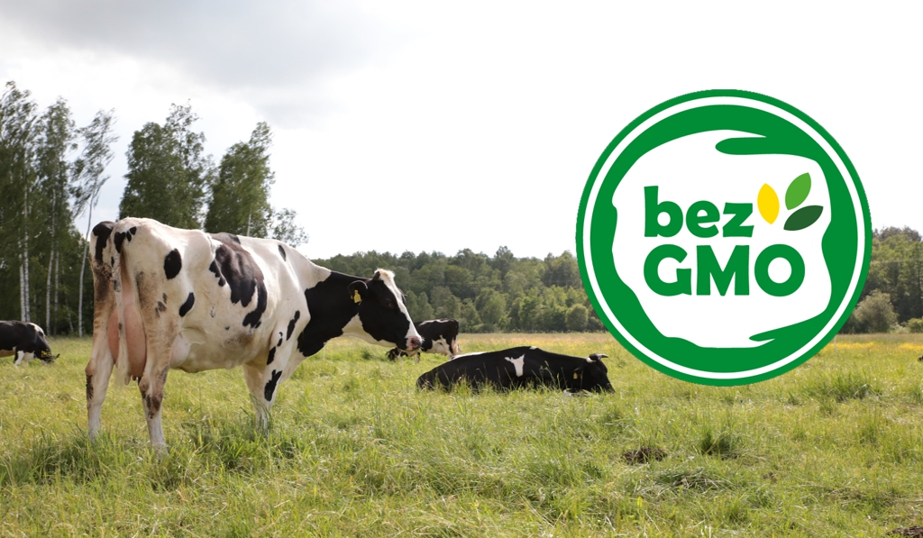 Co dalej z certyfikatem „Bez GMO”? – Hodowla i Chów Bydła